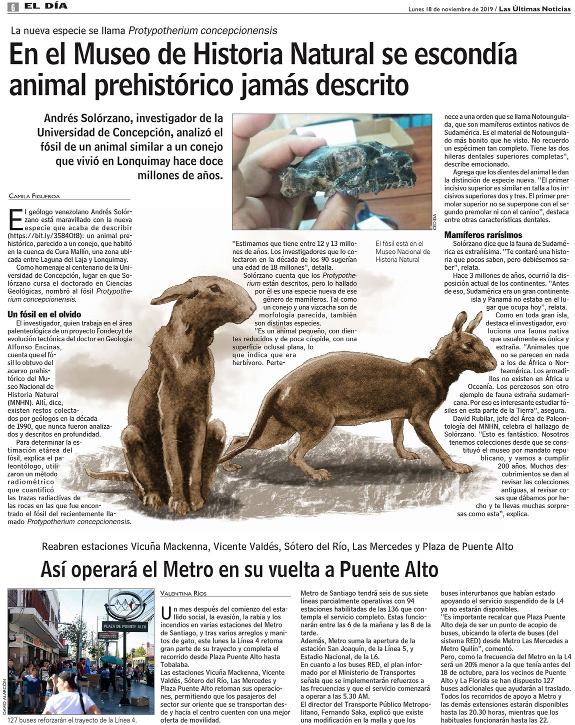 En el Museo de Historia Natural se escondía animal prehistórico jamás ...