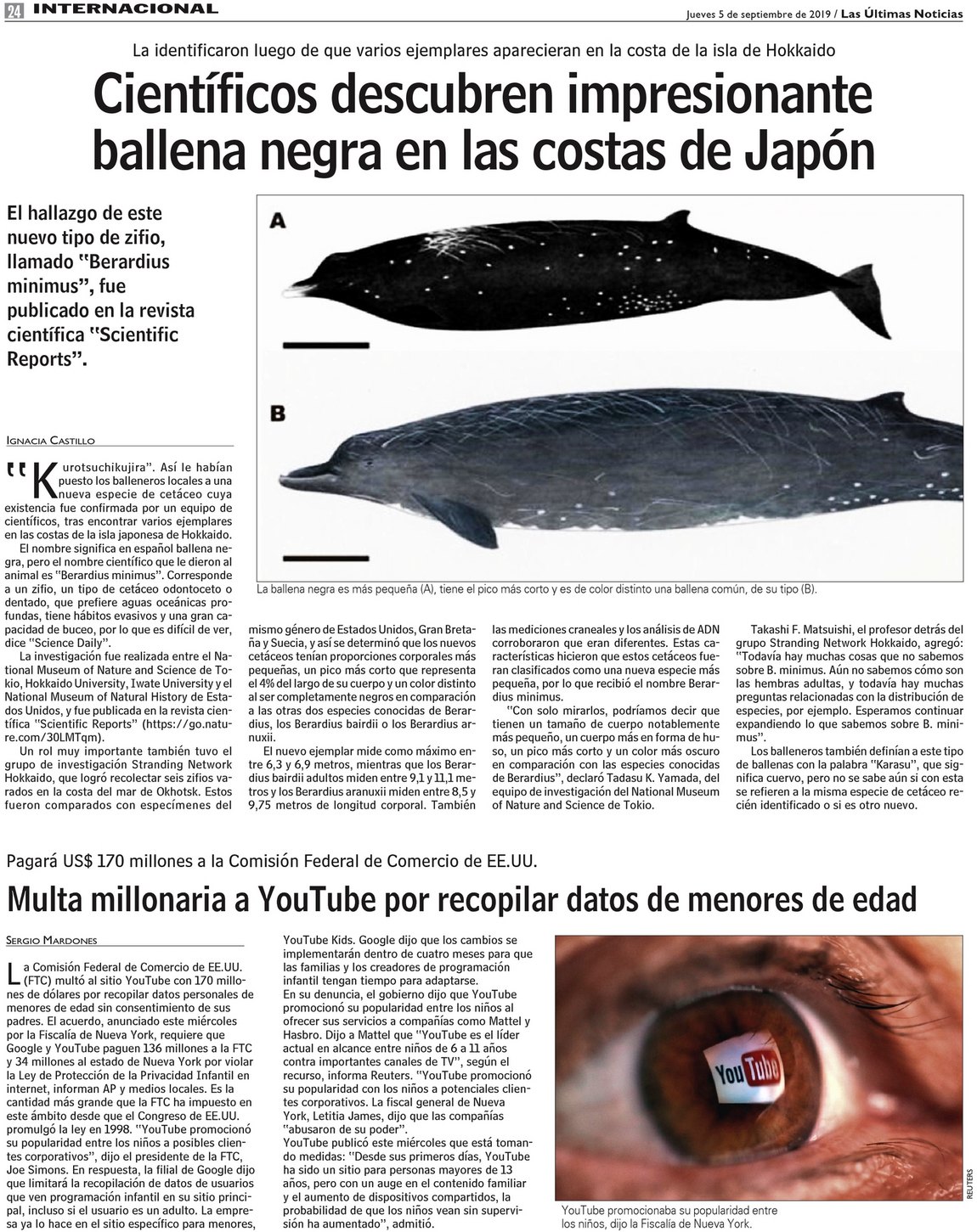 Científicos descubren impresionante ballena negra en las costas de ...