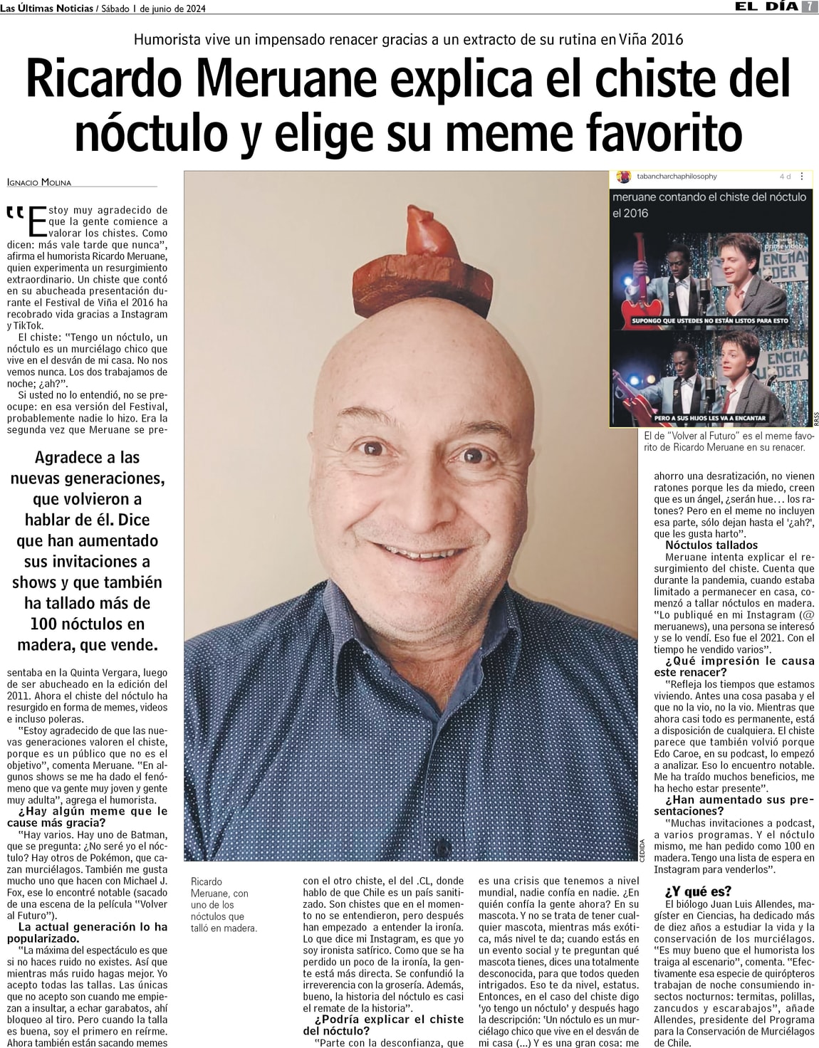 Ricardo Meruane explica el chiste del nóctulo y elige su meme favorito ...