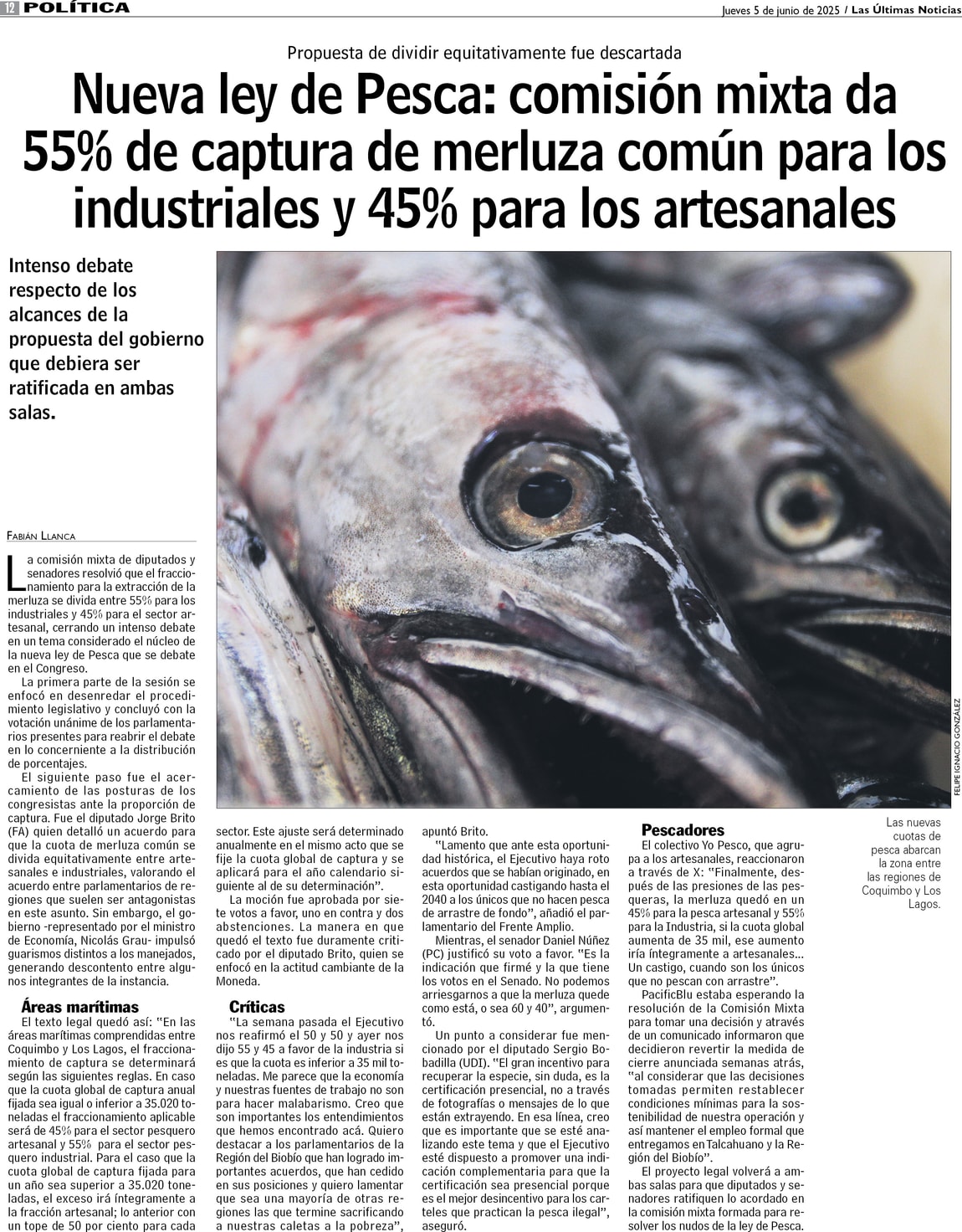 Nueva ley de Pesca: comisión mixta da 55% de captura de merluza común ...