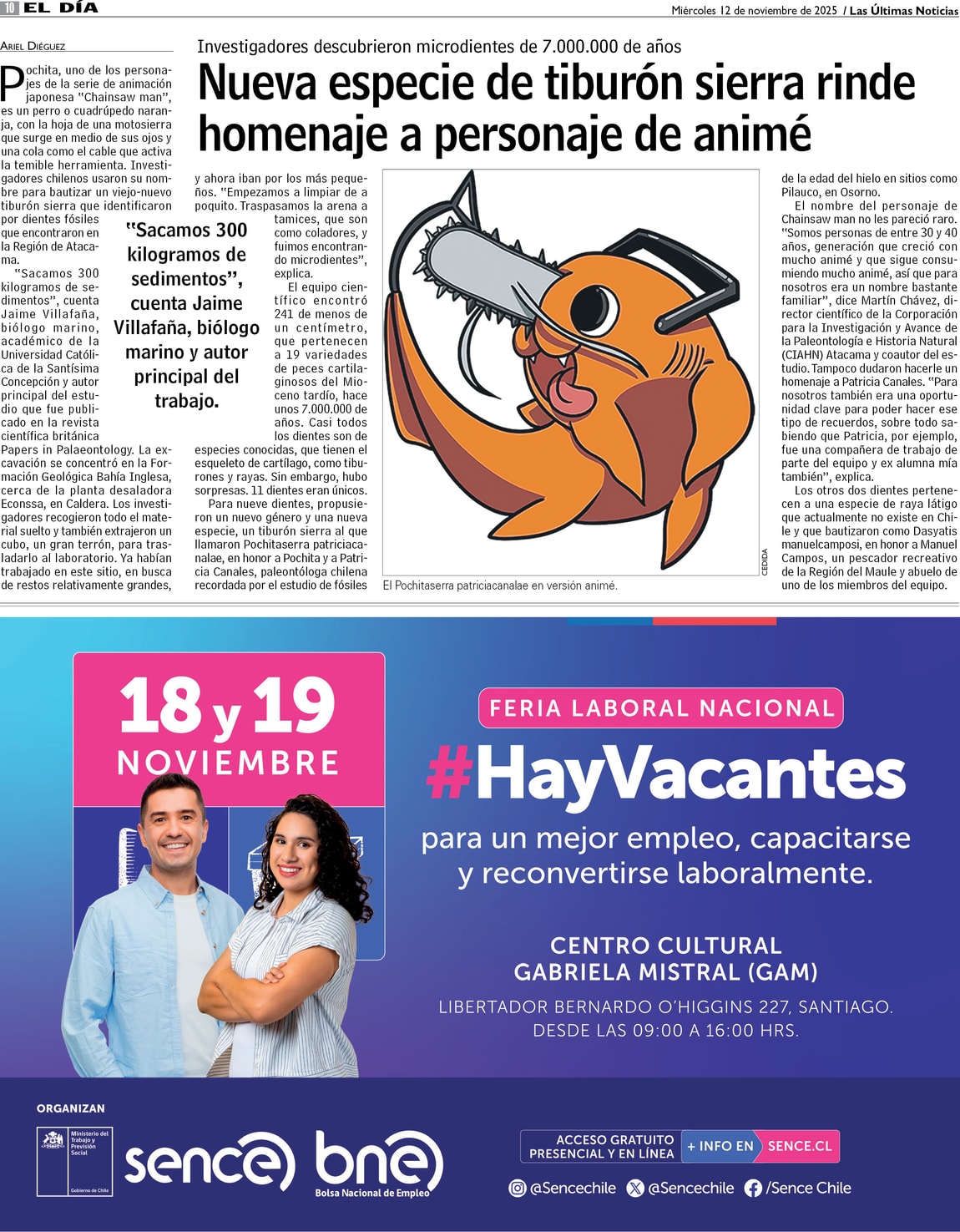 Nueva especie de tiburón sierra rinde homenaje a personaje de animé ...