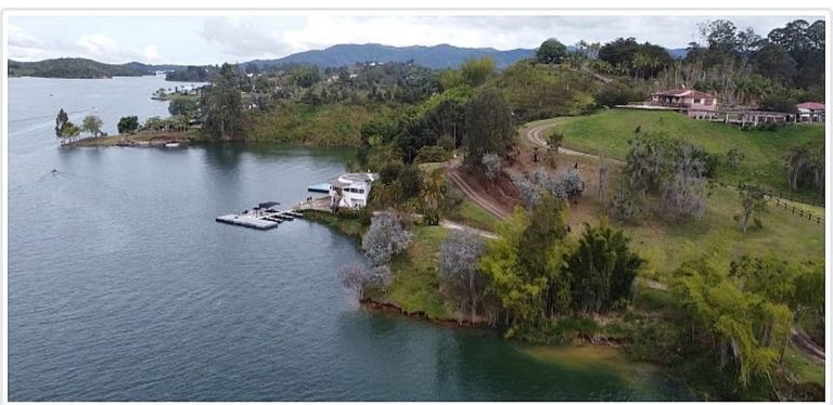 Se remató la parcela donde el narco Pablo Escobar plantó araucarias ...