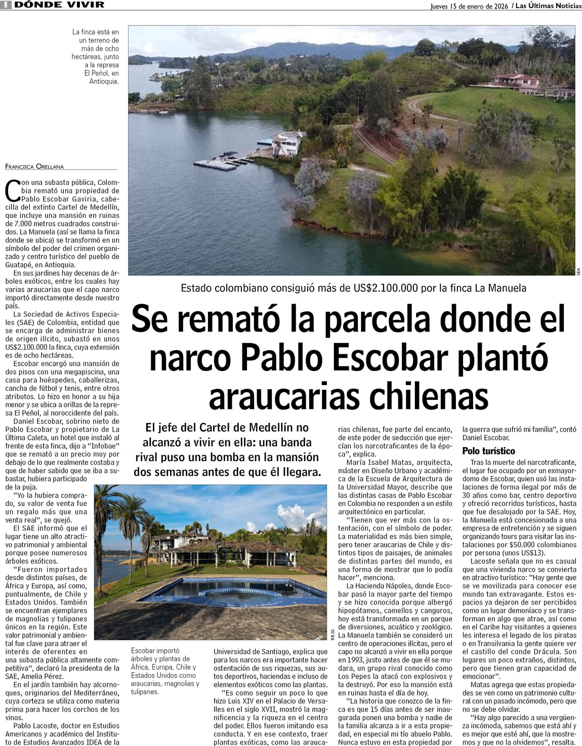 Se remató la parcela donde el narco Pablo Escobar plantó araucarias ...
